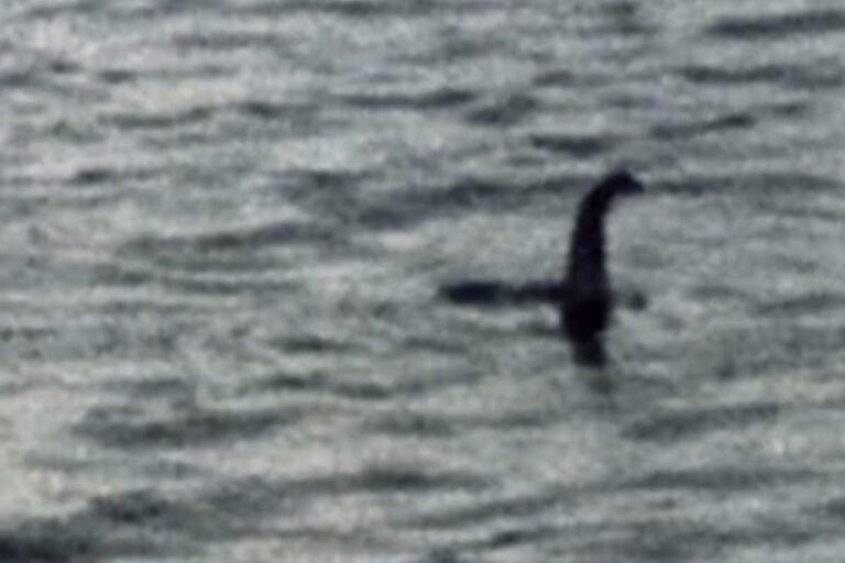 Nessie ha un cucciolo: il video sul mostro di Loch Ness che fa il giro del web